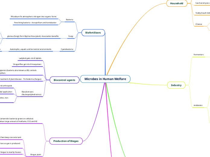 Microbes in Human Welfare - Mind Map